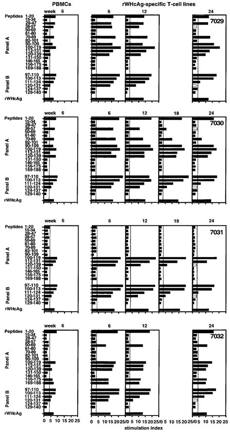T Cell Responses Of Pbmc 6 Weeks After Experimental Whv Infection And