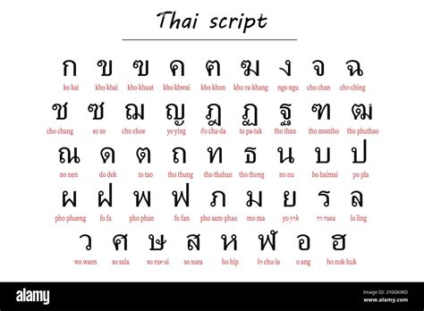 Thai Alphabet Chart Featuring Characters With Romanized Transliteration