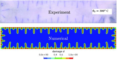 13 Quenching Experiment Numerical Crack Pattern At Bottom And