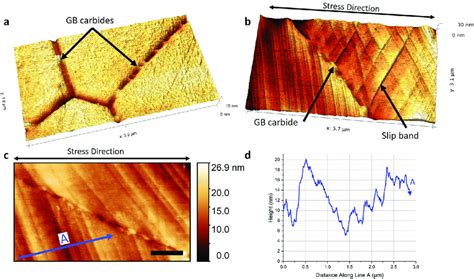 Ex Situ Hs Afm Measurements Of Sensitisation And Strain Images Show 3d Download Scientific