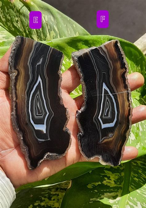 Black Banded Onyx Rough Gemstoneblack Banded Onyx Specimenblack Onyx