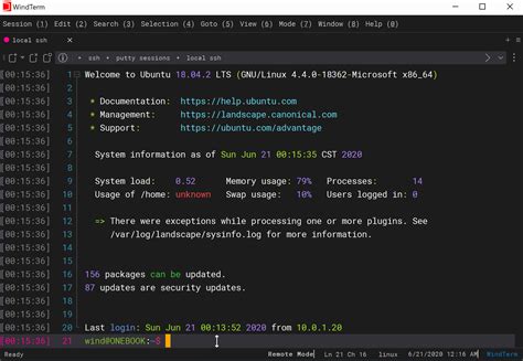 WindTerm Keyboard Local Mode Copy And Paste Keys WindTerm And WindEdit