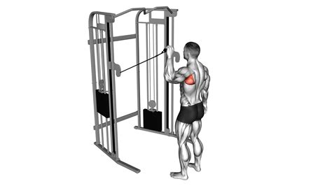 Cable Shoulder 90 Degrees External Rotation Video Exercise Guide And Tips Workout Guru