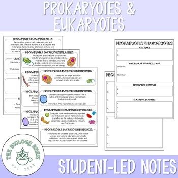 Prokaryote Eukaryote Student Led Notes By The Biology Brew TPT
