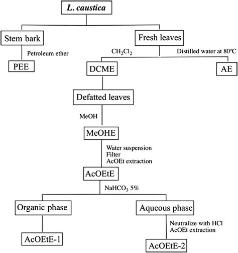 Extraction Methodology Dcme Dichloromethane Extract From Leaves Download Scientific Diagram