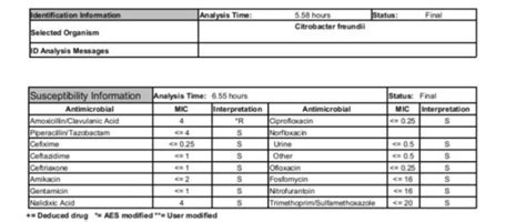 Citrobacter Freundii Introduction Morphology Pathogenicity Lab