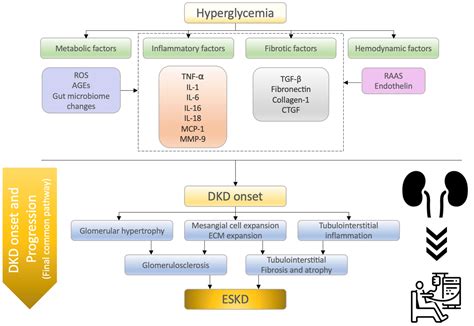 Millet And Ckd At Kathleen Perry Blog