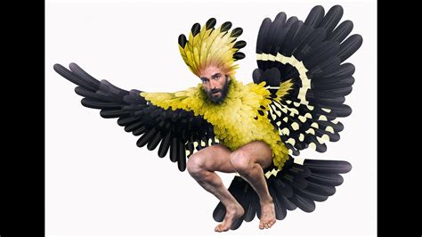 Из жизни птиц Youtube