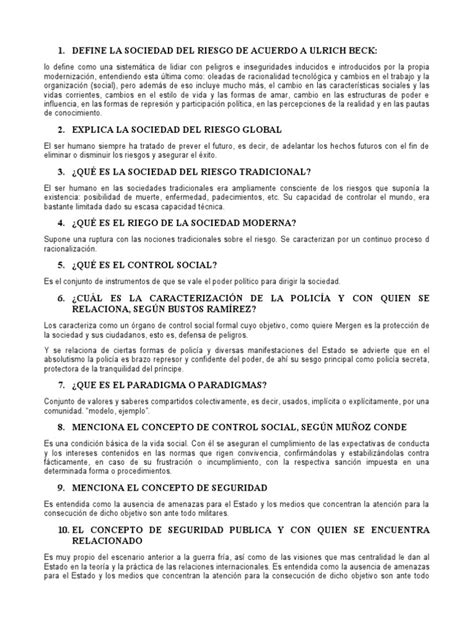 Guia De Seguridad Publica Pdf Valores Sociedad