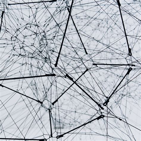 Self Organizing Particle Systems Sops