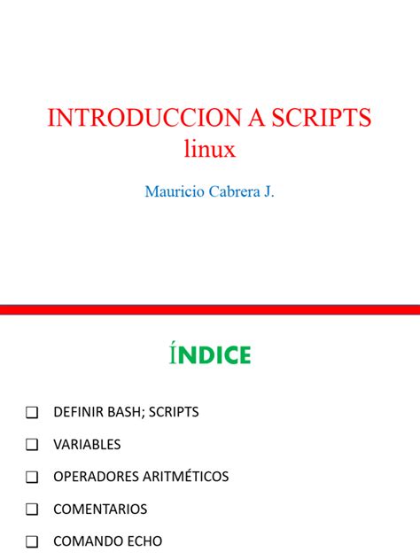 comandos basicos scripts pdf programación de computadoras informática