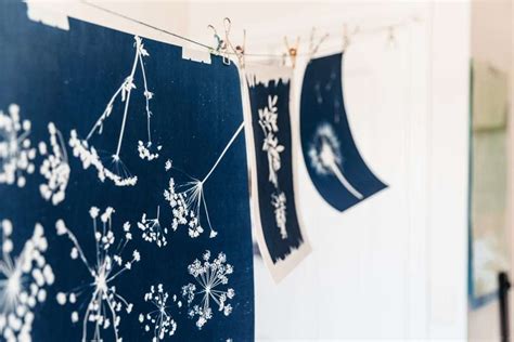 Get Started With Cyanotype Printing In A Weekend The Beginners Guide To Cyanotype Printing