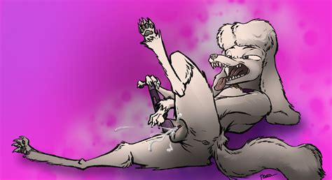 Rule 34 Animal Genitalia Animal Pussy Anus Bodily Fluids Canid Canine