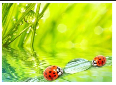 Css实现图片或文字溢出隐藏效果 Huangchun0121 博客园