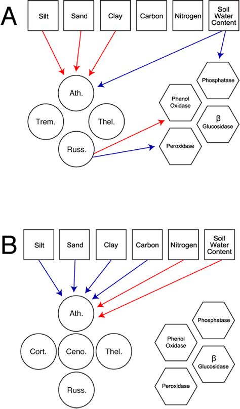 Most Parsimonious Piecewise Structural Equation Model For Full Models Download Scientific