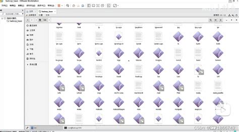 Linux系统文件（二）目录结构 Csdn博客