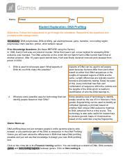 DNA Profiling Pdf Name Eshaal Date Babe Exploration DNA Profiling Directions Follow