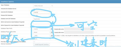 Mantis下载安装设置mantis Bt安装包下载 Csdn博客