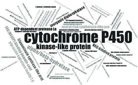 Word Cloud Containing 118 Pathogen Specific Genes That Were Annotated Download Scientific
