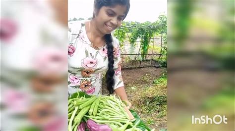 අමුද්‍රව්‍ය තුනෙන් වගාවට හානිකරන කෘමි සතුන් පලවා හරිමු කමත Nursery