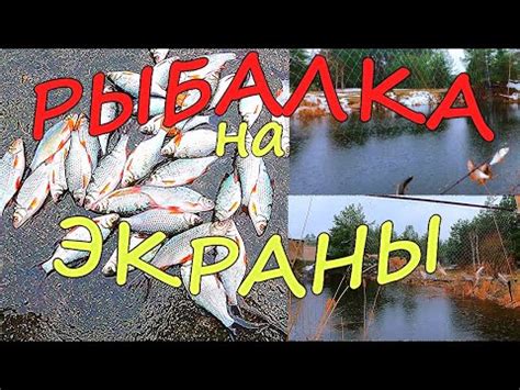 Удачная рыбалка на ЭКРАНЫ-ТЕЛЕВИЗОРЫ ранней весной. - YouTube