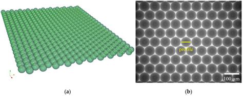 Metals Special Issue Advanced Characterization And On Line Process Monitoring Of Additively
