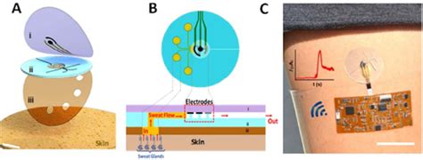 Microfluidic Device Design And Operation The Soft Epidermal Microchip Download Scientific
