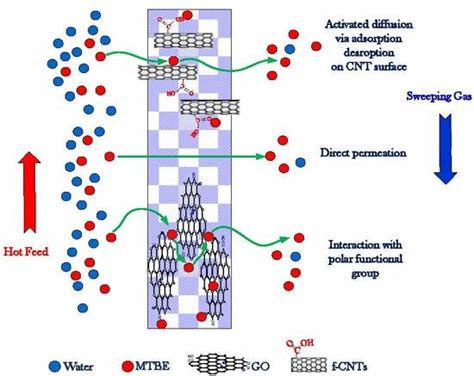 Tert Butyl Methyl Functional Groups