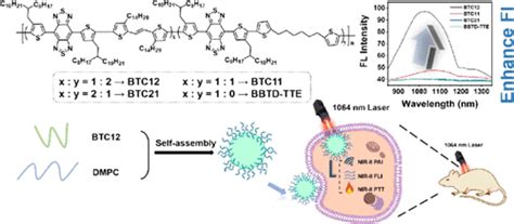 Conjugated Polymer Coupled With Nonconjugated Segments For Nir Ii Fluorescencenir Ii