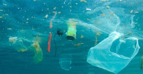Más Del 80 De La Basura En Las Playas Bonaerenses Corresponden A