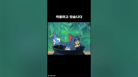 이 방법 모르면 손해 기름때 곰팡이 냄새까지 한 방에 해결하는 꿀팁 15 Youtube