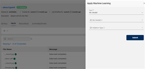 Ml Models Amorphic Docs