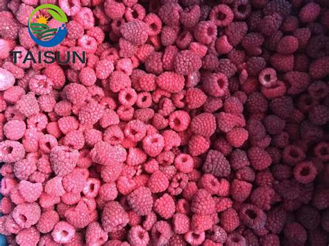 High Quality Iqf Raspberry Whole Frozen Fruits Retailbulk Pack Frozen