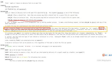 Linux Flock 原理shell进阶 Csdn博客
