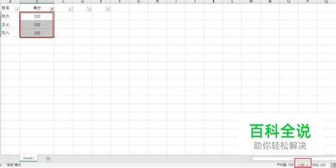 Excel如何快速统计一列中相同数值出现的个数 【百科全说】