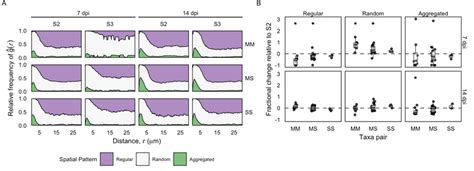 Interspecific Spatial Patterns A Frequency Plots Of Spatial Patterns