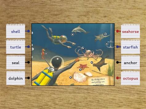 Sm3 Under The Sea Diagram Gắn Nhãn Sơ đồ