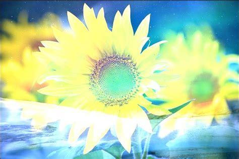 3 Ways Of Image Addition In Python With NumPy OpenCV And Pillow