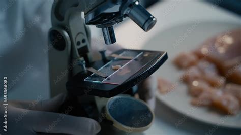 Microbiologist Analyzing Meat Sample Structure And Qualities During Food Testing Close Up View