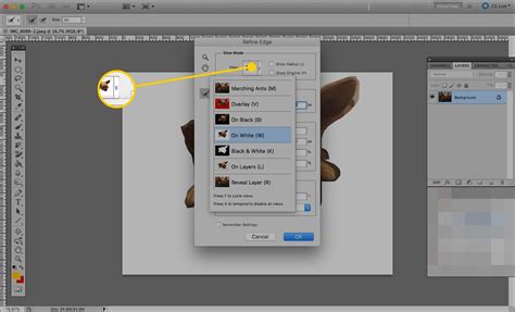 how to use the refine edge tool in photoshop