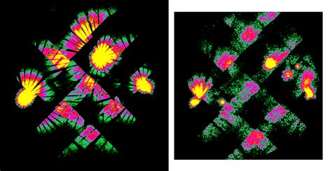 Fig B2— A Comparison Of The Simulated Ghost Ray Pattern From Observed