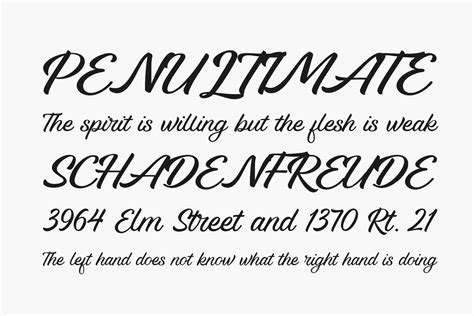 Alluring Fonts Shmonts