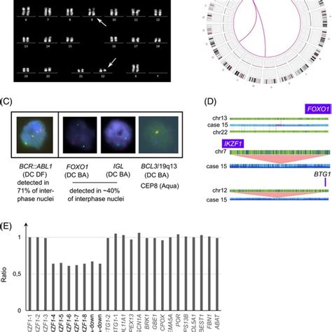 example of the workflow used to validate optical genome mapping as a