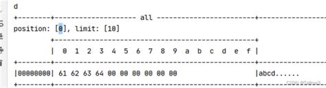 9、bytebuffer（方法演示3（buffer4种读取数据方式）） 读取bytebuffer中数据 csdn博客