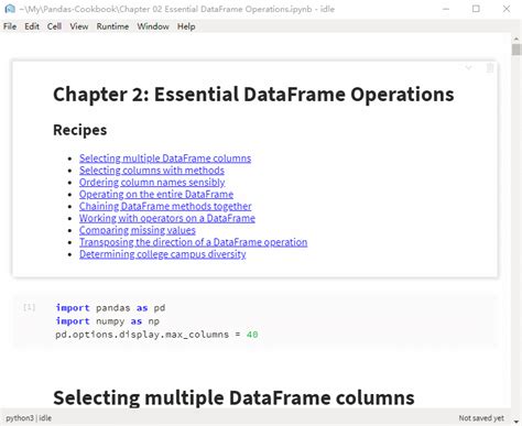 类jupyter notebook编辑器桌面版nteract 靛青
