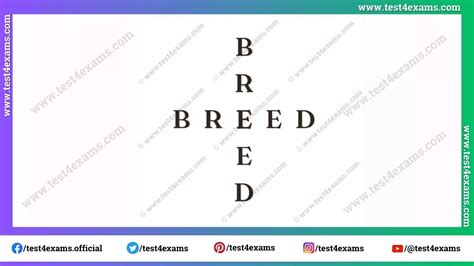 Rebus 1021 Test 4 Exams