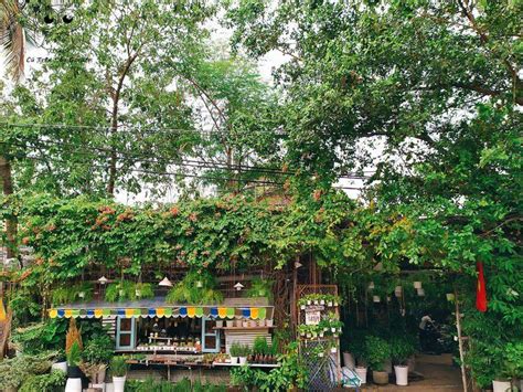 SAIGON CAFES TOP 3 COFFEE SHOPS FILLED WITH TREES