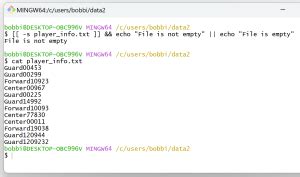 Bash How To Check If File Is Empty With Examples Collecting Wisdom