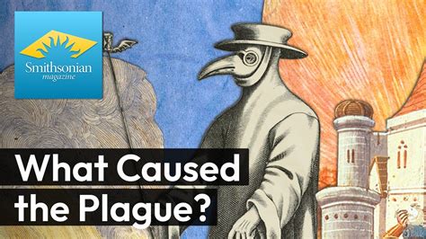 Did Plague Cause The Mysterious Collapse Of Europes Early Farmers 5 000 Years Ago