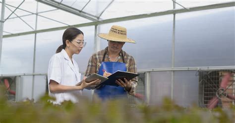 과학자는 수경 온실 농장 깨끗한 식품 및 식품 과학 개념에서 농부에게 상담 및 제안을 제공합니다 사진 Unsplash의 영양학자 이미지